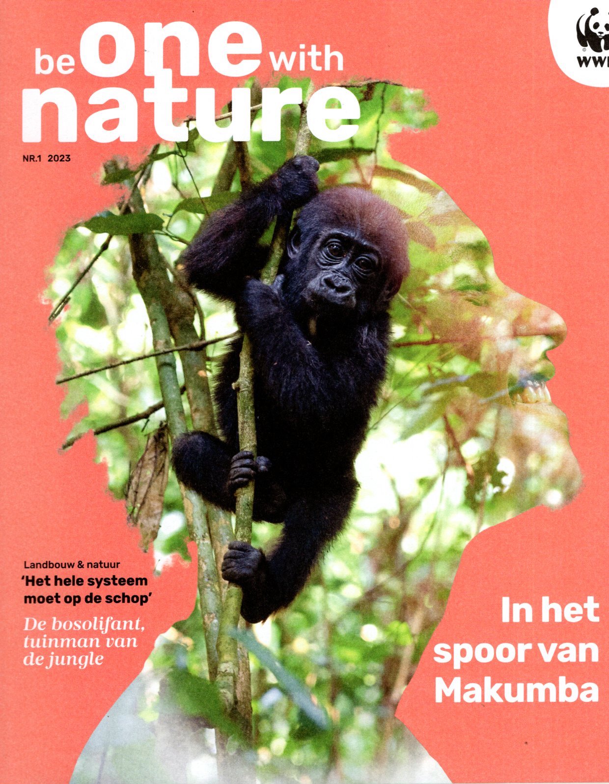 Be one with nature - Green Tulips